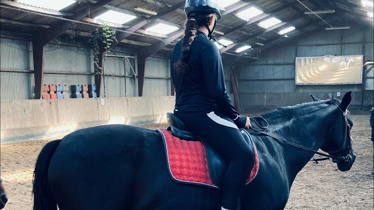 Ridder på en ny hest 😱 ( hvad sker der så ) ️🐎🐴 hestens navn er Trunte ...