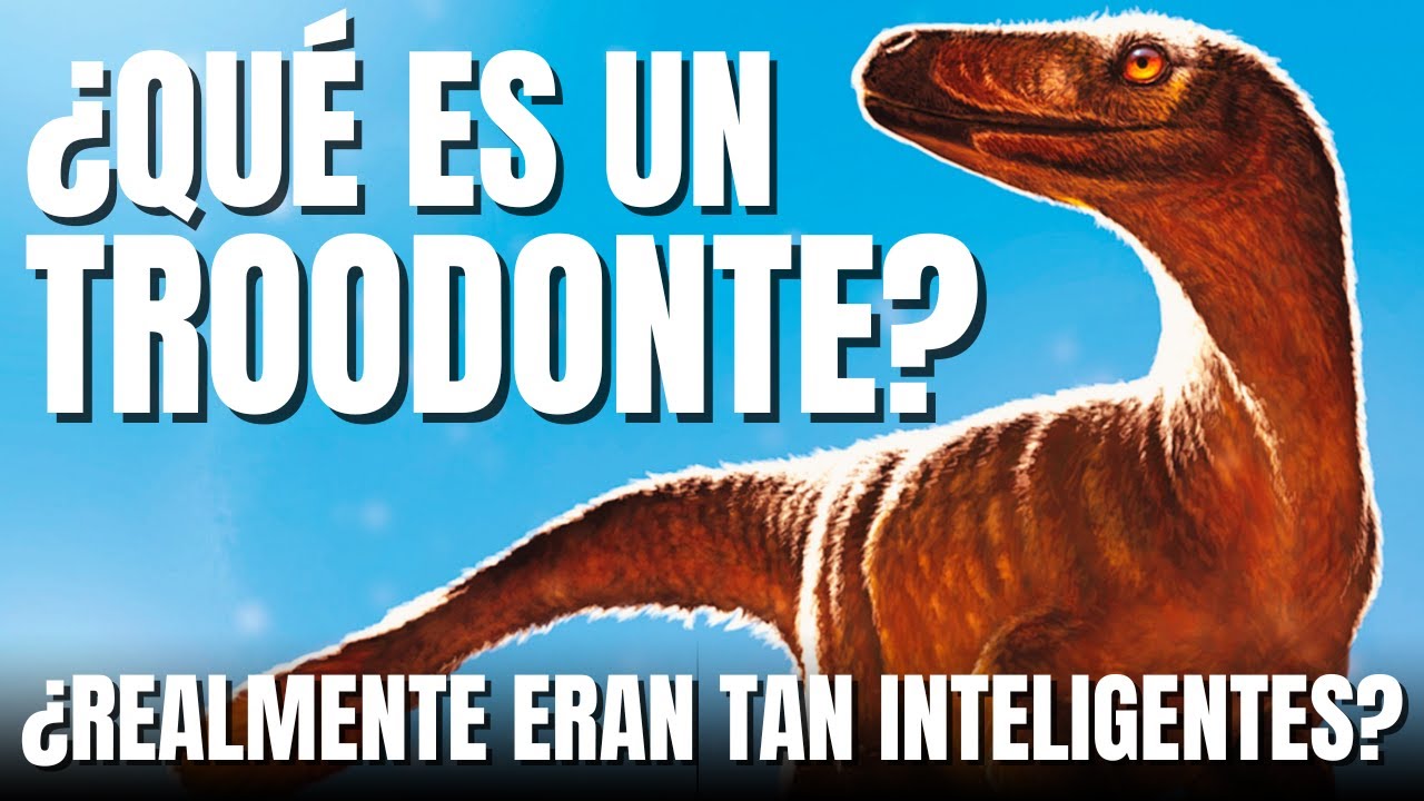 ¿QUÉ ES UN TROODONTE? - ¿Eran los dinosaurios más inteligentes? - YouTube