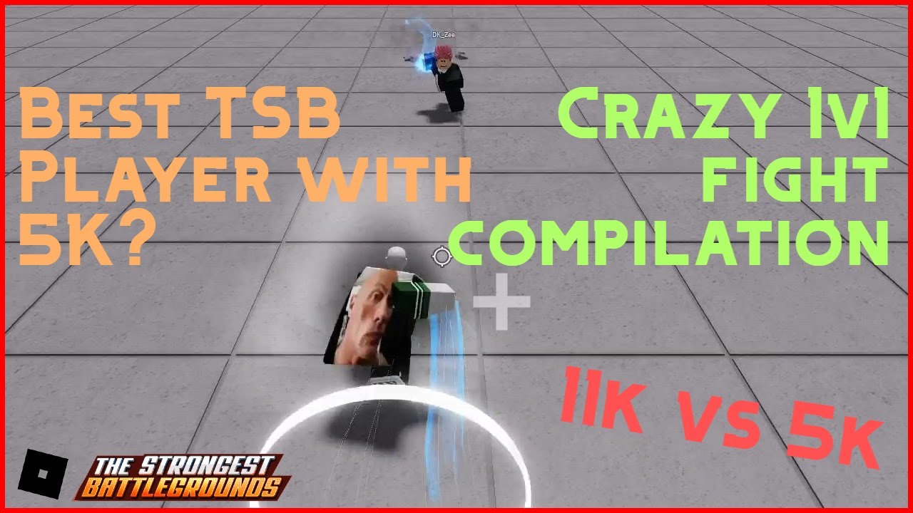 Fighting The BEST 5K PLAYER IN TSB?! /w Zee - YouTube