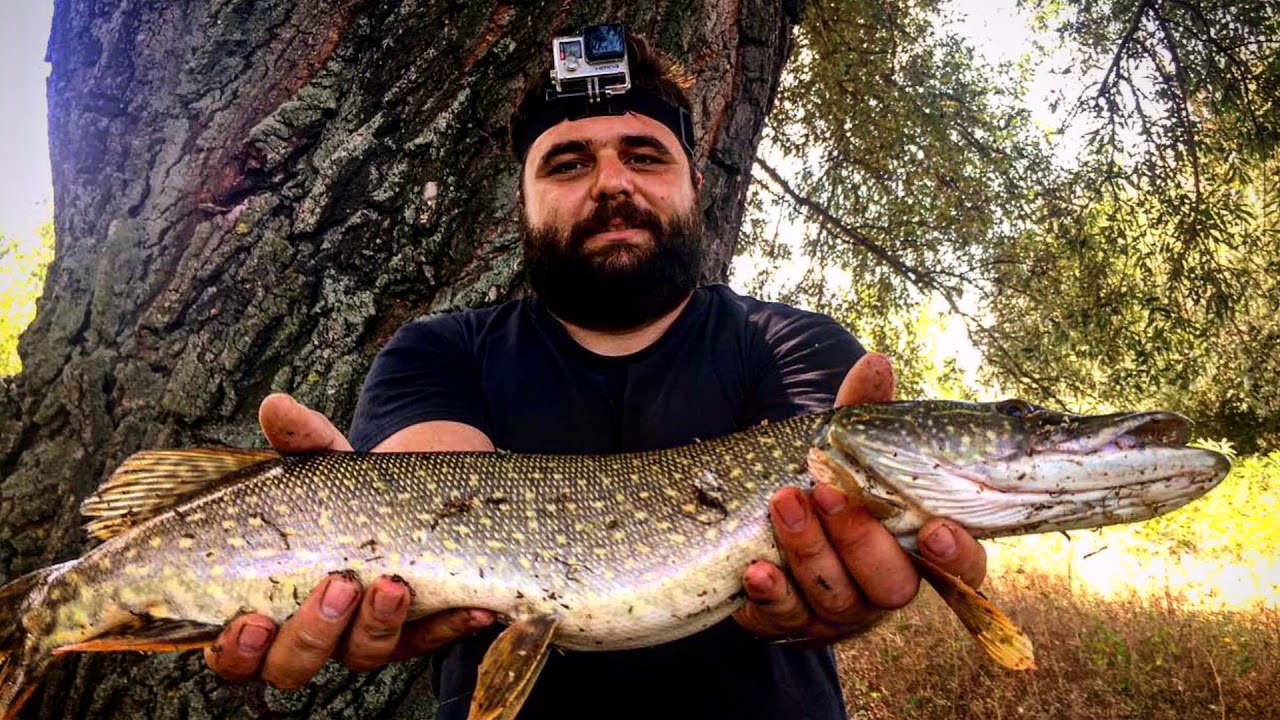 Риболов по р. Тунджа - YouTube