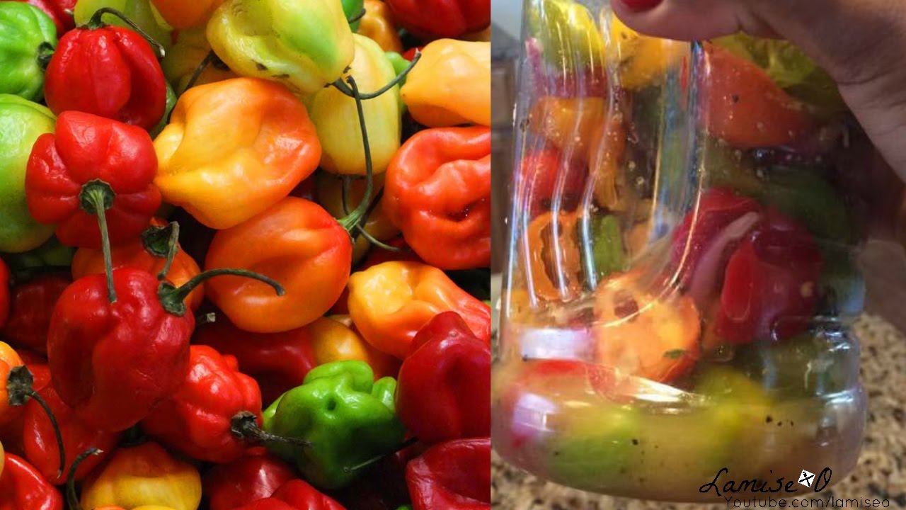 Haitian Hot Sauce | Piman Bouk | Episode 65 - YouTube