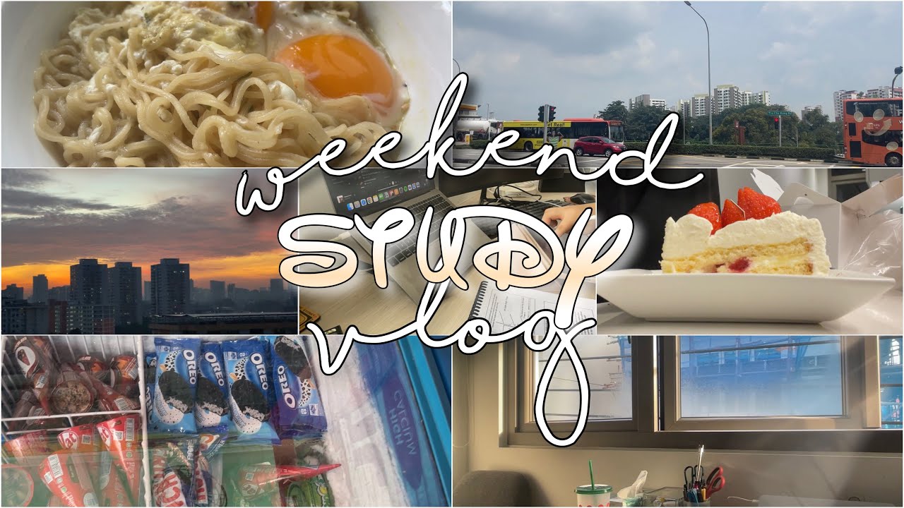 weekend study vlog ☁️🖇 🧸| my january weekend | back into the study ...