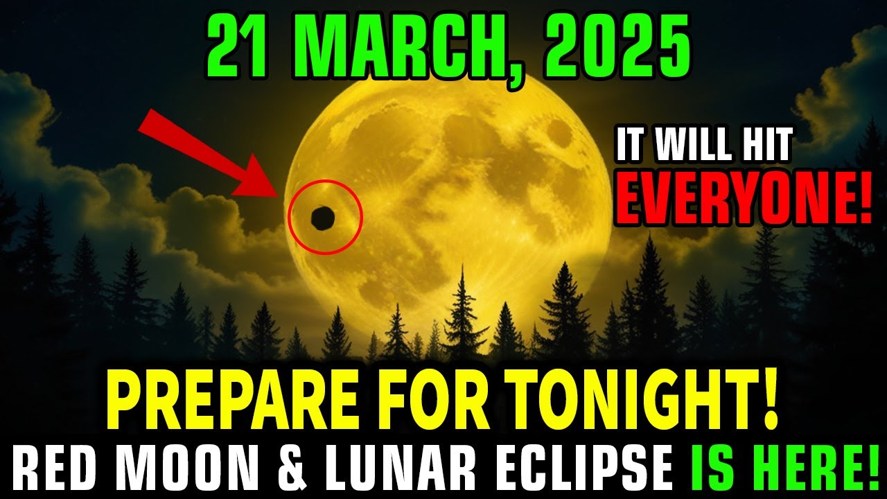 URGENT! The March 2025 RED MOON & LUNAR ECLIPSE is Here! Brace for ...