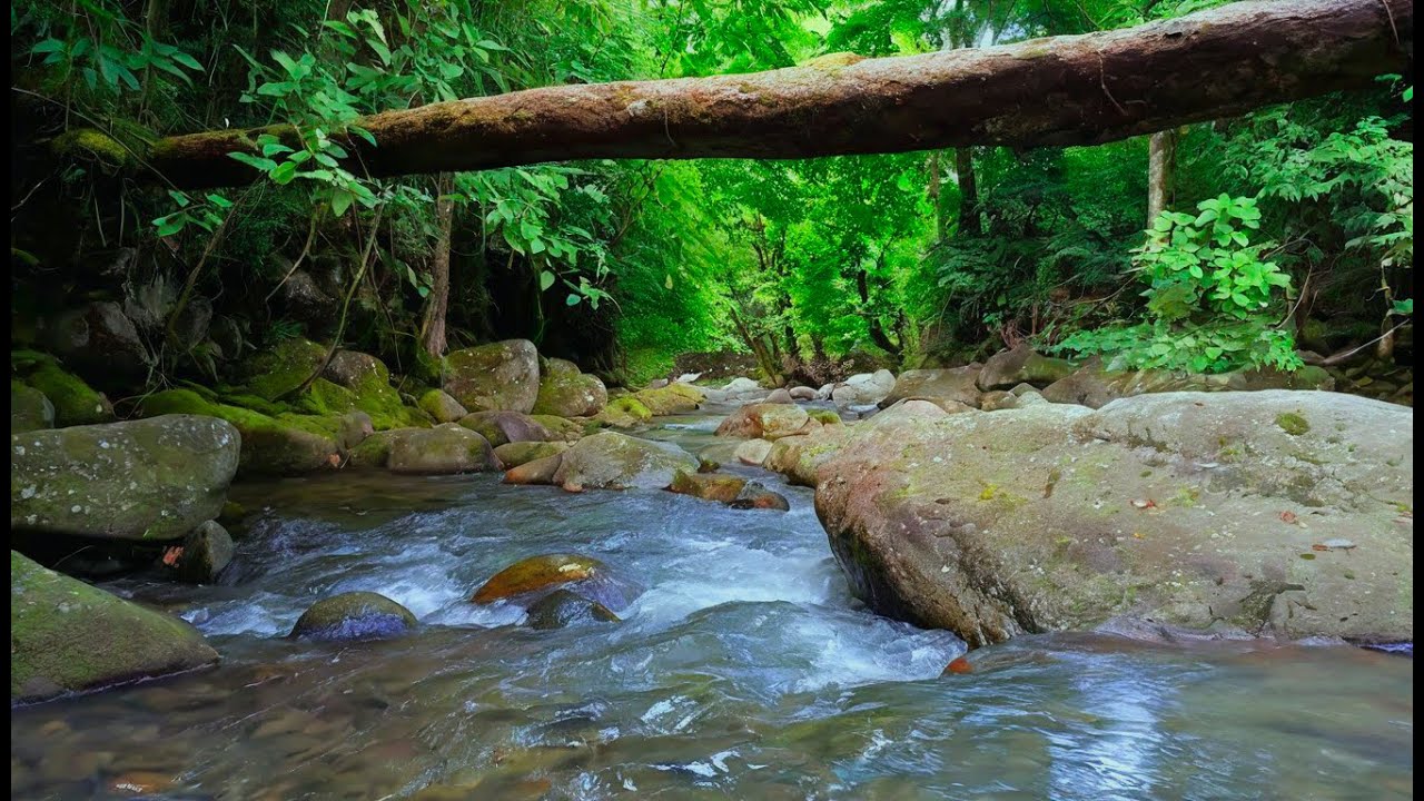Deep River Sounds to Help You Focus and Sleep Better - YouTube