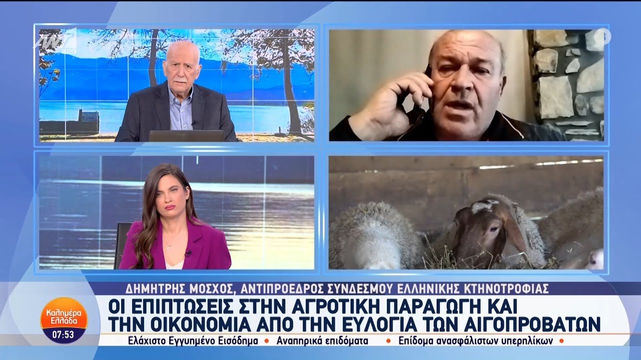 Οι επιπτώσεις στην αγροτική παραγωγή και την οικονομία από την ευλογιά ...