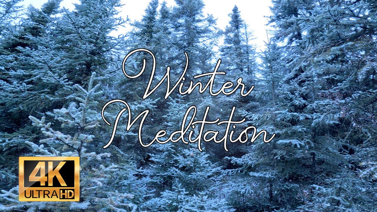 Winter Meditation (4K) - Snowfall In The Pines - YouTube