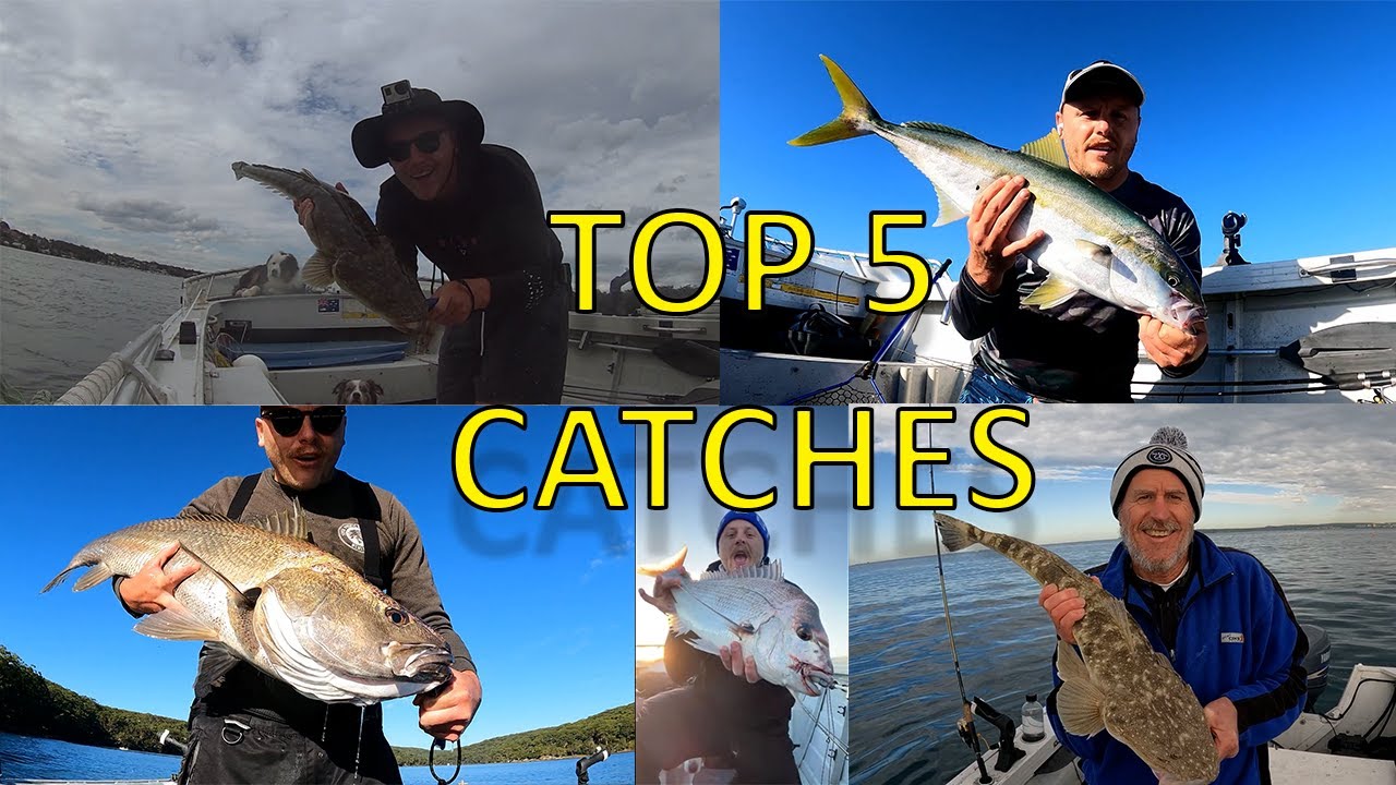 Top 5 Most Insane Catches So Far - 1000 subscriber special - Reel ...