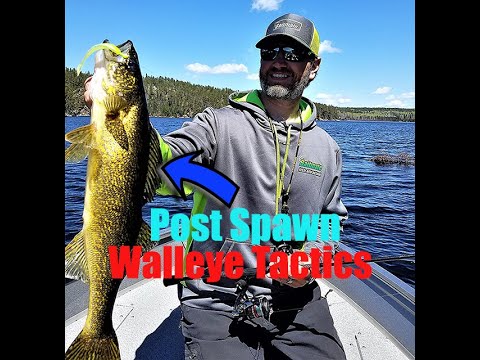 Finding Post Spawn Walleyes - YouTube
