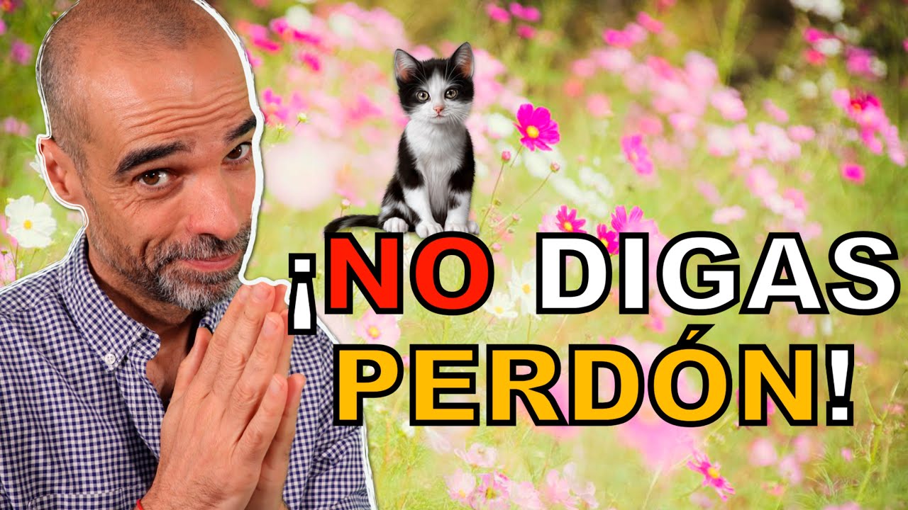 NO DIGAS LO SIENTO en Espa ol Beginners in English YouTube no-digas-lo-siento-en-espa-ol-beginners-in-english-youtube