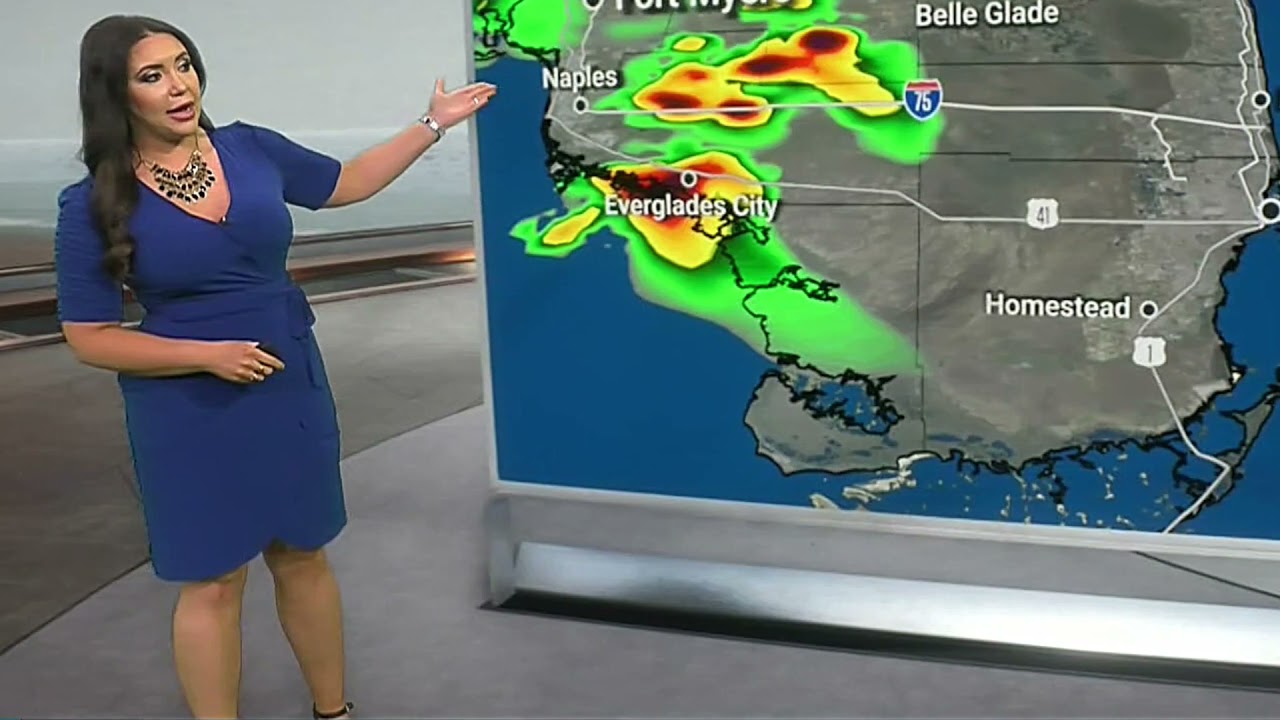 Felicia Combs - Blue Wrap Dress - Weather Channel - Rear View - Easy On ...