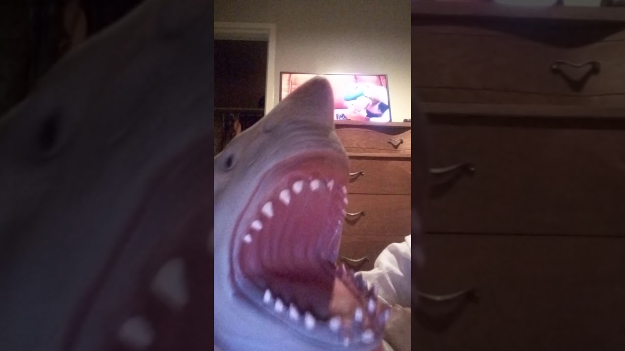 Shark Puppet Sings Here To Show The World - YouTube