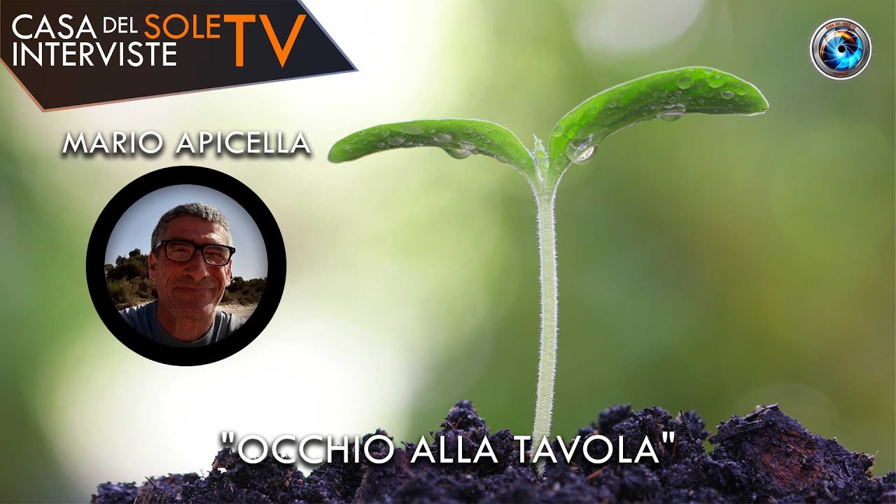 Mario Apicella: "Occhio alla tavola” - YouTube