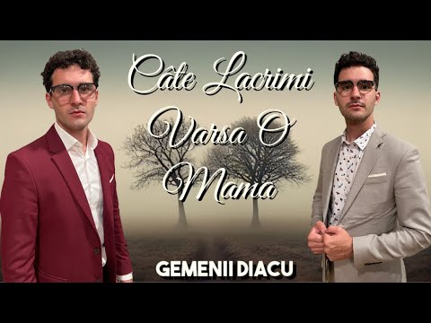 Gemenii Diacu - Cate Lacrimi Vărsa O Mamă ( Versuri ) - YouTube