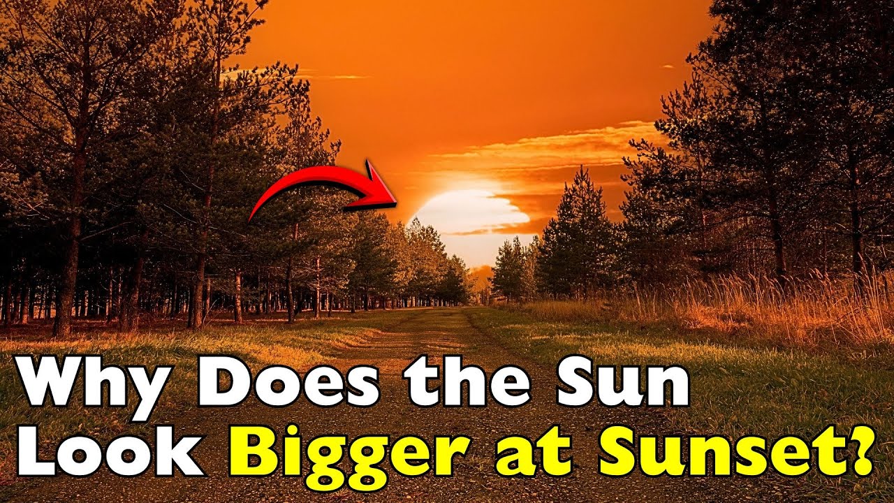 Why the Sun Looks HUGE at Sunset (It’s Not What You Think) [ID0801 ...