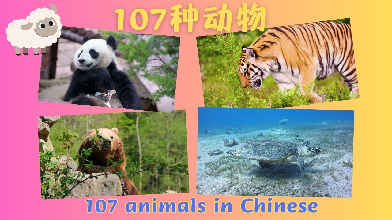 107 Animals in Chinese| 107种动物| Chinese words learning|learn Chinese|宝宝 ...
