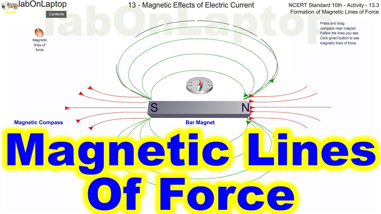 NCERT Class 10th Activity 13.3 | Formation Of Magnetic Lines Of Force ...