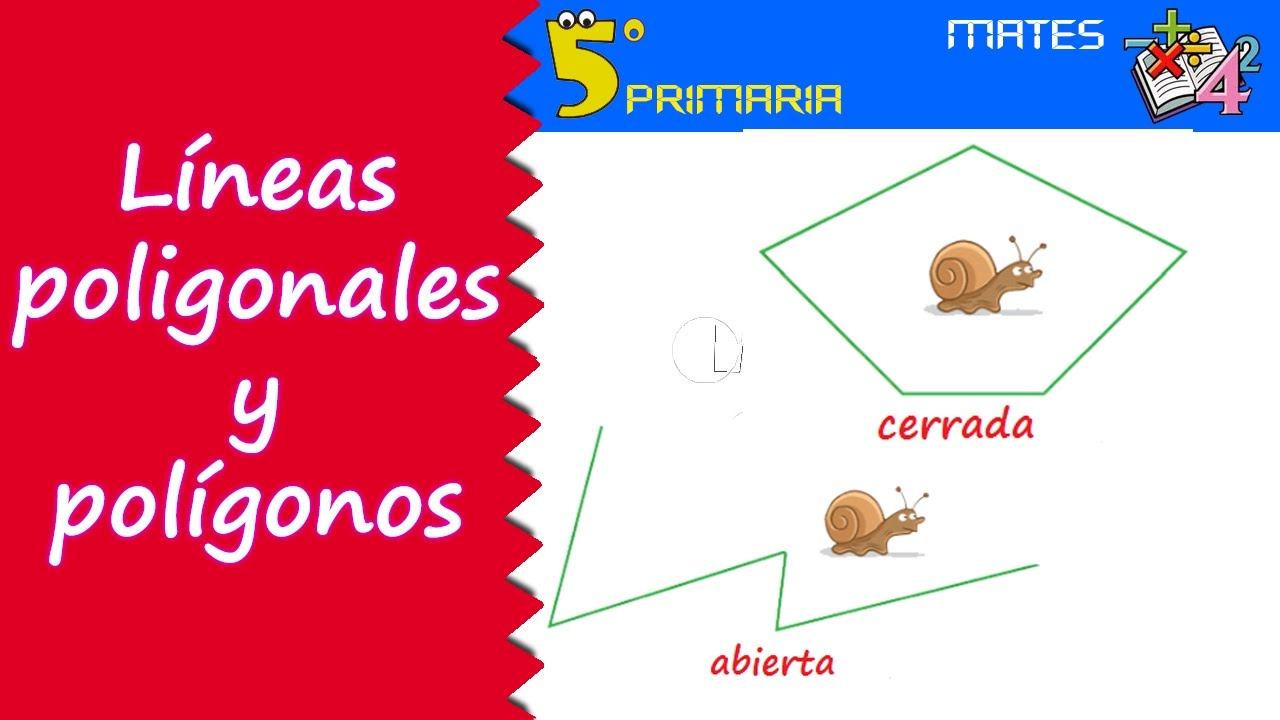 Líneas poligonales y polígonos. Mate, 5º Primaria. Tema 8 - YouTube