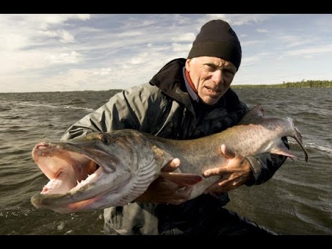 John Wilson's GO FISHING - Fishing for Carp - National Geographic ...