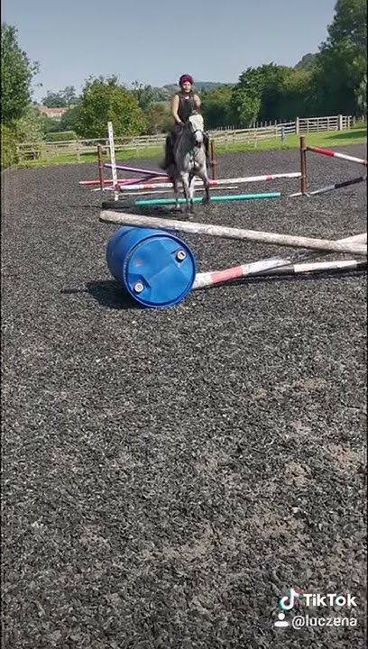 horse grid work exercises - YouTube