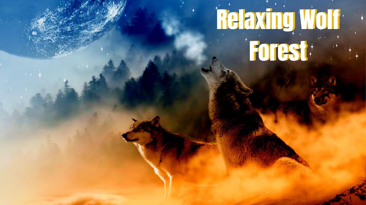RELAXING Wolf Sounds With Nature Ambience | 1 Hour Of Relaxing Video # ...