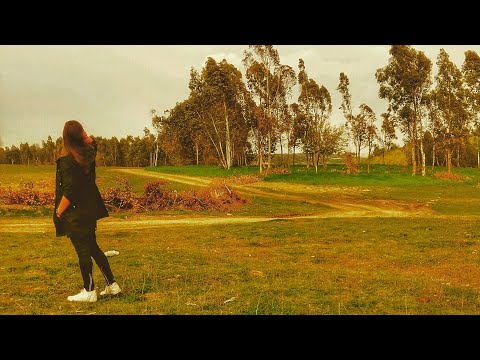 Gidesim Var - Şiir- Edibe Toğaç (Sesli Şiir)