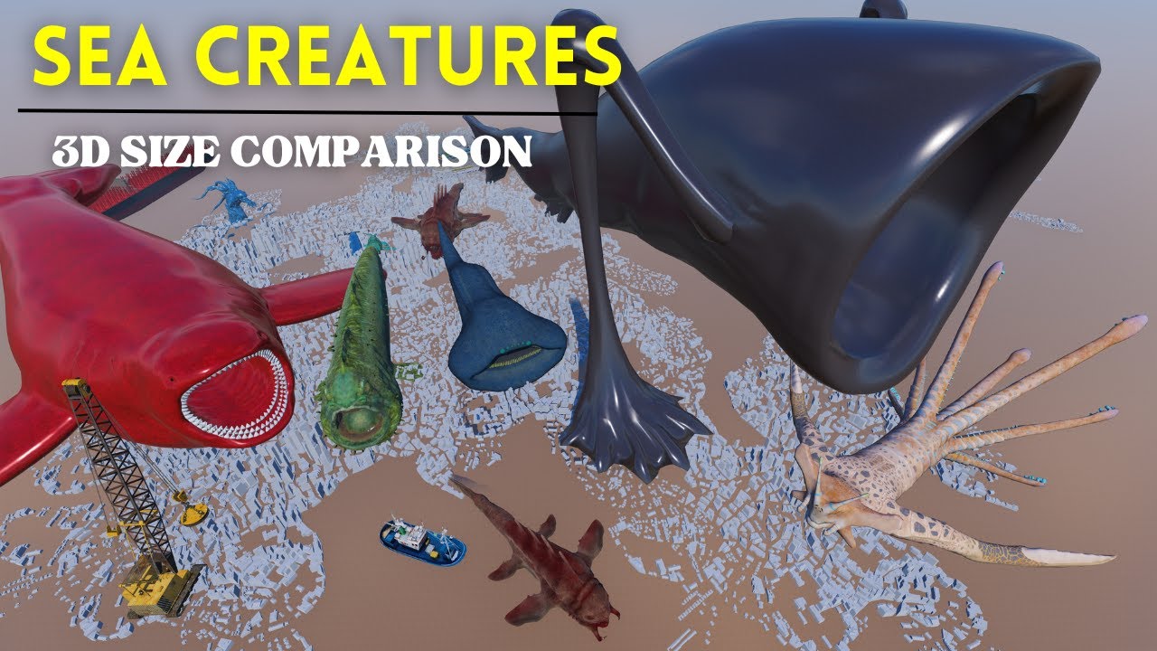Sea Creatures Size Comparison | From Smallest to Biggest (3D Animation ...