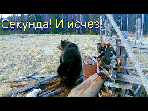 ОХОТА НА МЕДВЕДЯ В ОДИНОЧКУ / РАНЕНЫЙ ЗВЕРЬ СКРЫЛСЯ В ЛЕСУ / В ТЕМНОТЕ ЛУЧШЕ НЕ ХОДИТЬ ЗА ПОДРАНКОМ