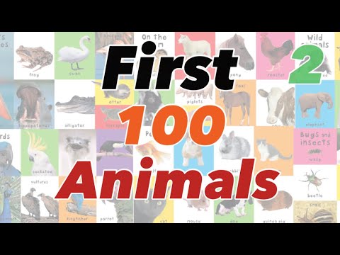 First 100 Animals 2 (숲에 사는 동물, 강과 호수에 사는 동물, 정글 동물 ) - YouTube