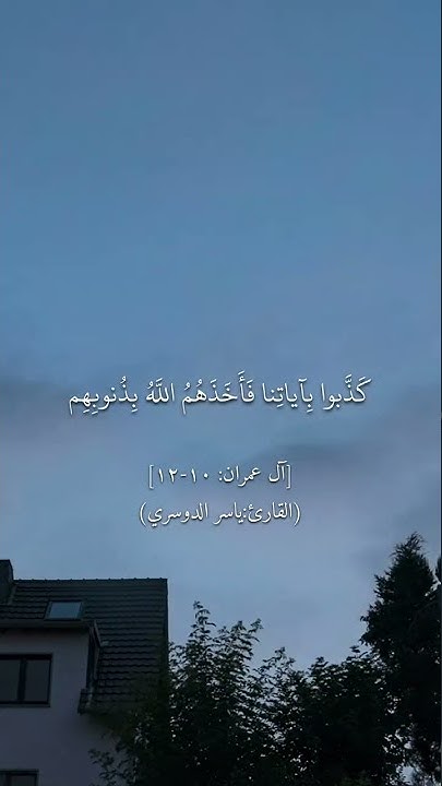 ﴿إن الذين كفروا لن تغني عنهم أموالهم ولا أولادهم من الله شيئا﴾ [آل