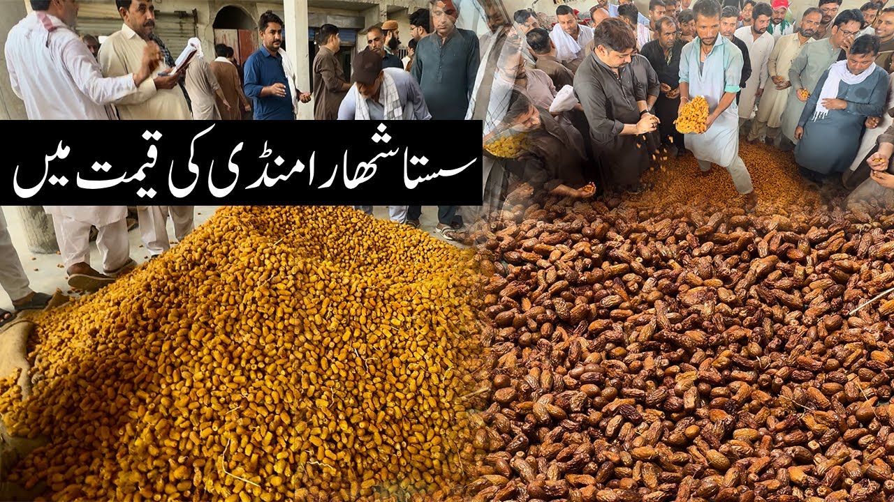 Shuhara Dates Khajoor Saste Rates Mey | Khairpur Sukkur Mandi - YouTube