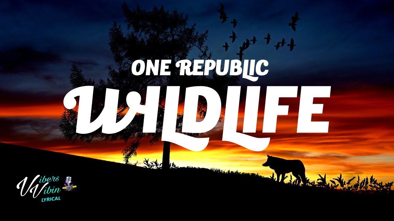 OneRepublic - Wild Life (Lyrics) - YouTube