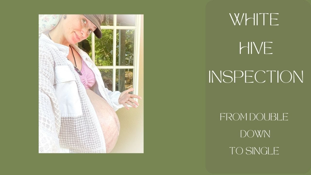 Spotty brood pattern when in a dearth - YouTube