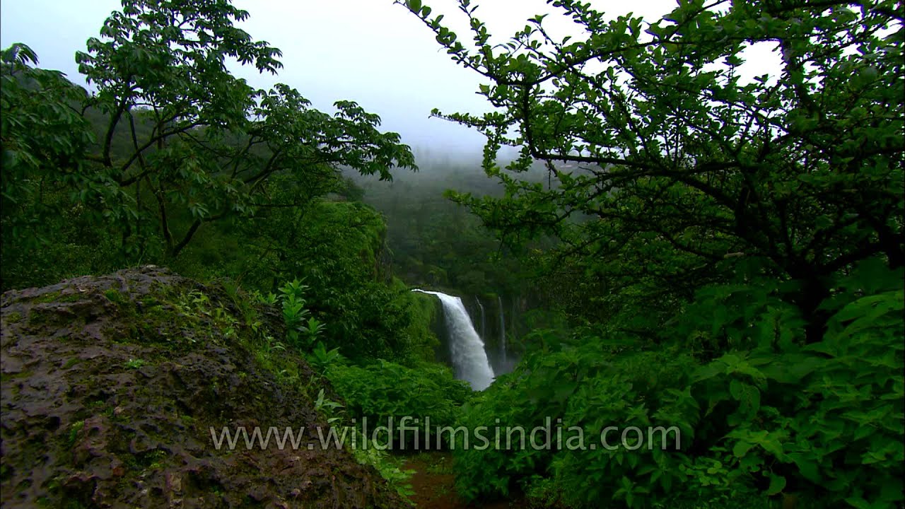 Lingmala falls - Glittering waterfall in Mahabaleshwar - YouTube