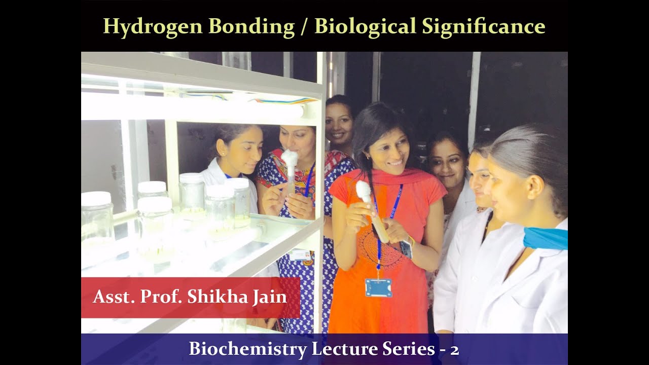 Hydrogen Bonding part 2/ Structure of ice- Biochemistry - YouTube