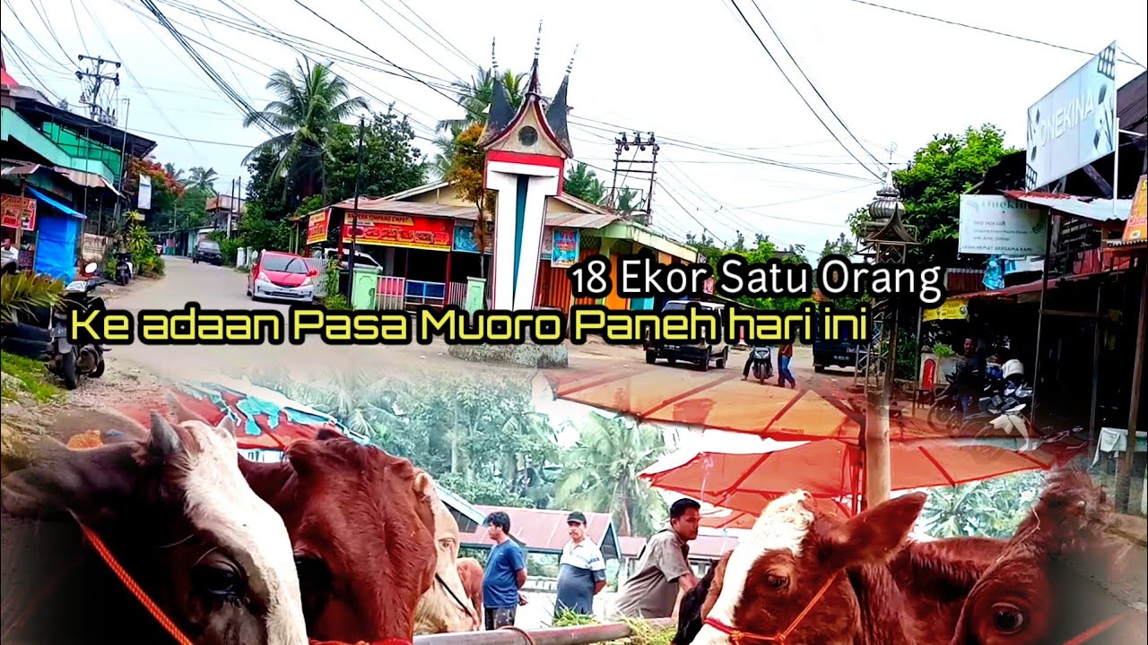 Intip Pasar Tradisional Muaro Paneh di Tahun ini | Pedesaan sumatera ...