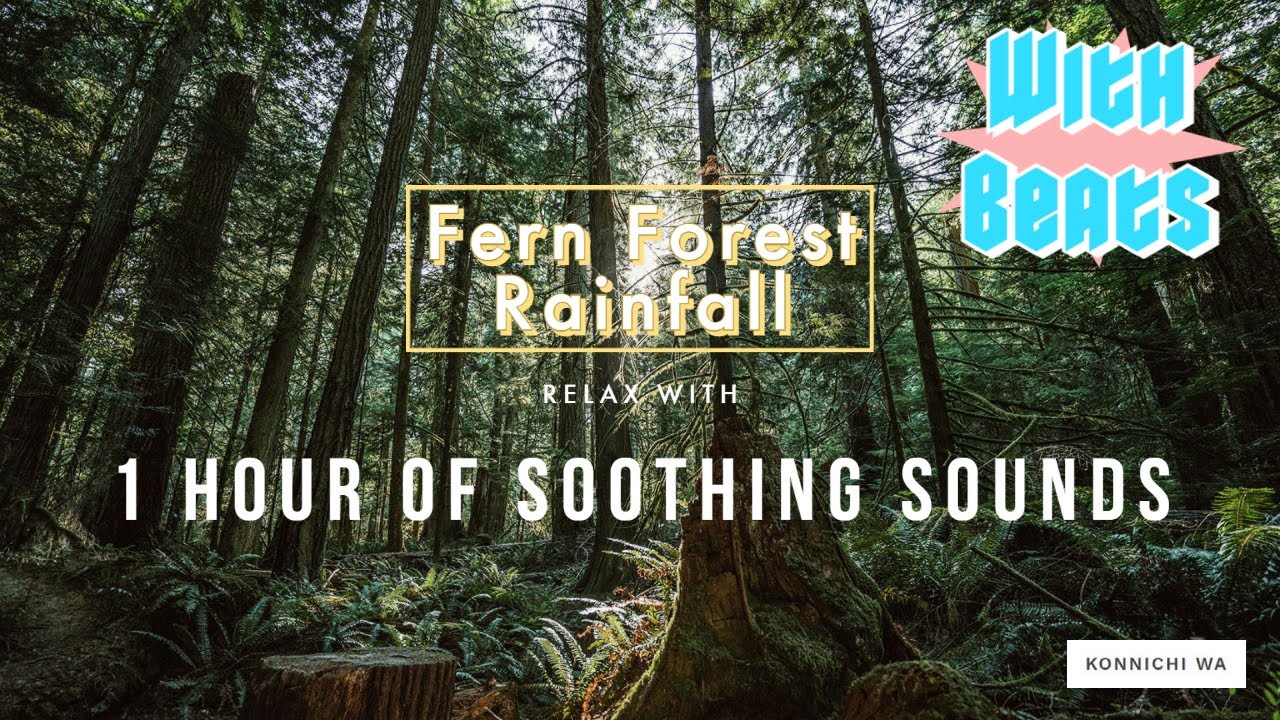 FERN FOREST RAINFALL + BEATS | 1HR of Relaxing Rainfall in a Fern Tree ...