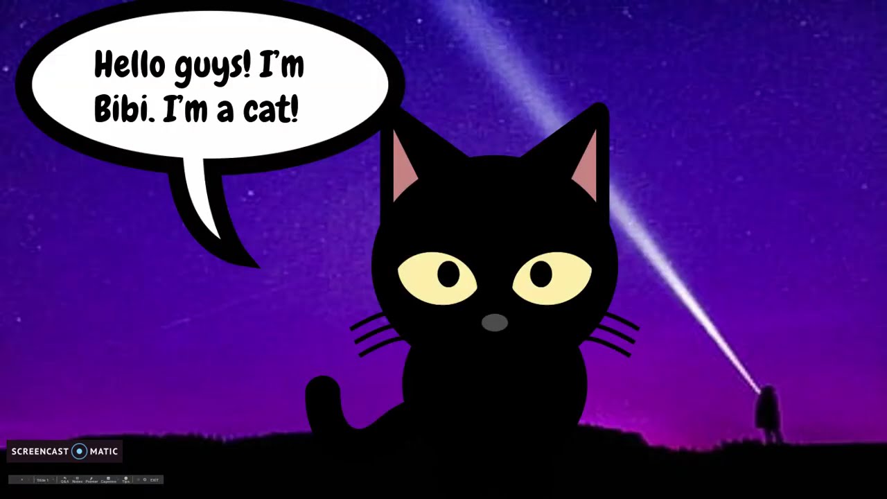 Bibi The Cat!!! - YouTube
