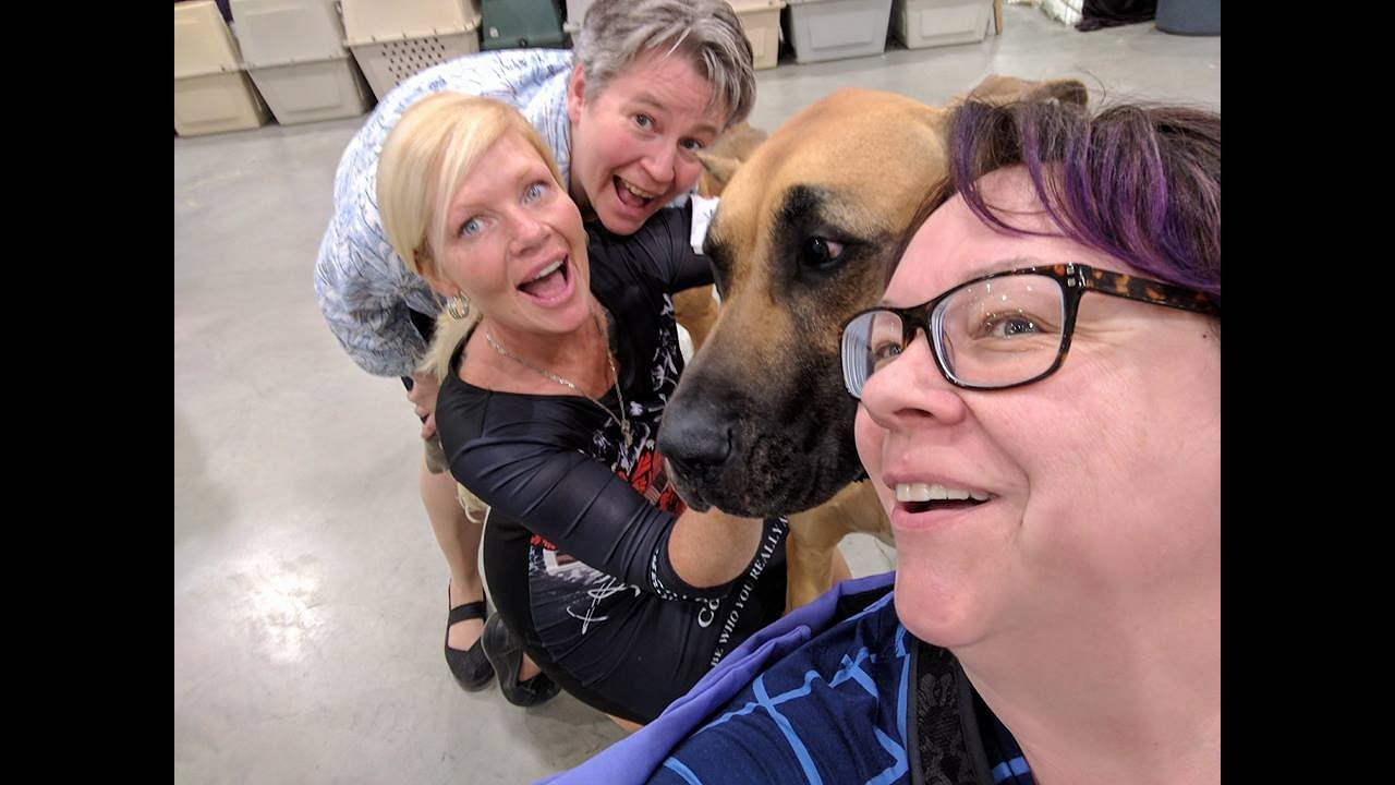 Dog Show Friends the Past 22 years Episode 1 - YouTube