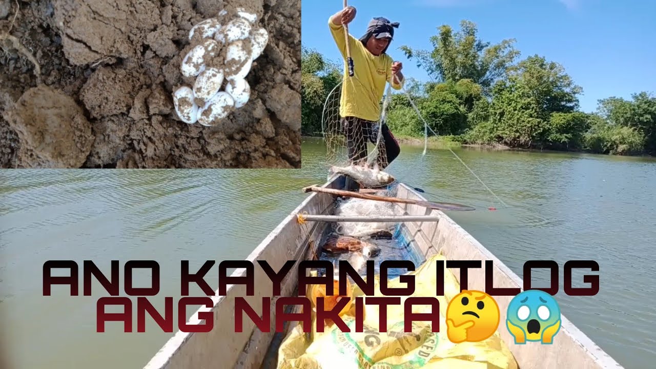 PANGINGISDA SA ILOG/ANO KAYANG ITLOG ANG NAKITA - YouTube