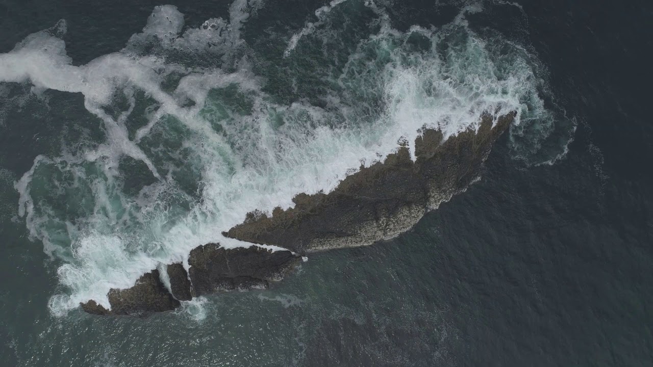 Mill City Press book: Her Majesty's Top Gun | 'Sharkey' Ward - YouTube