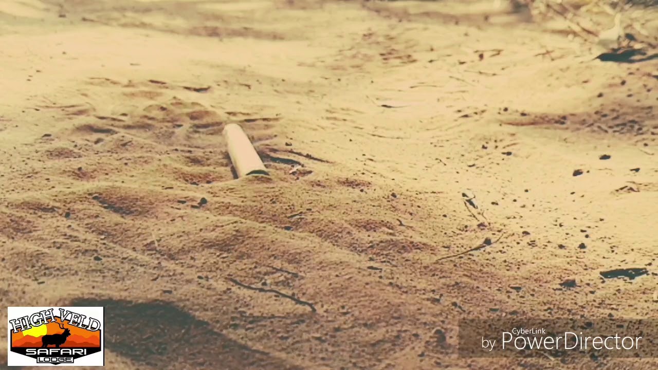 Hunting impact shots - YouTube