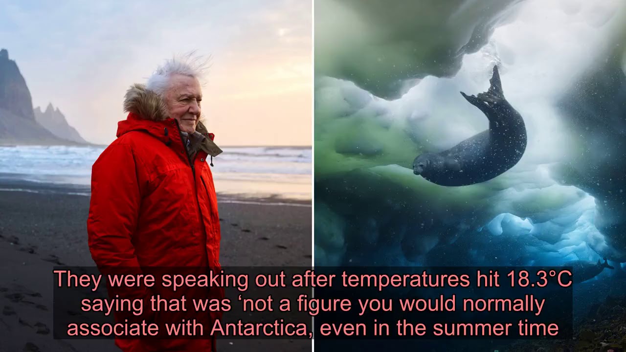 Antarctica hits record high as temperature goes above 20C for first ...