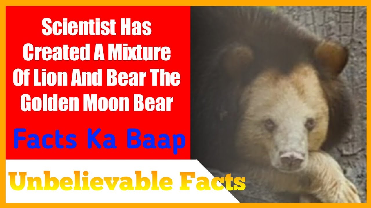 Unknown Facts| The best fact ever| Amazing Fact | Unbelievable Facts ...