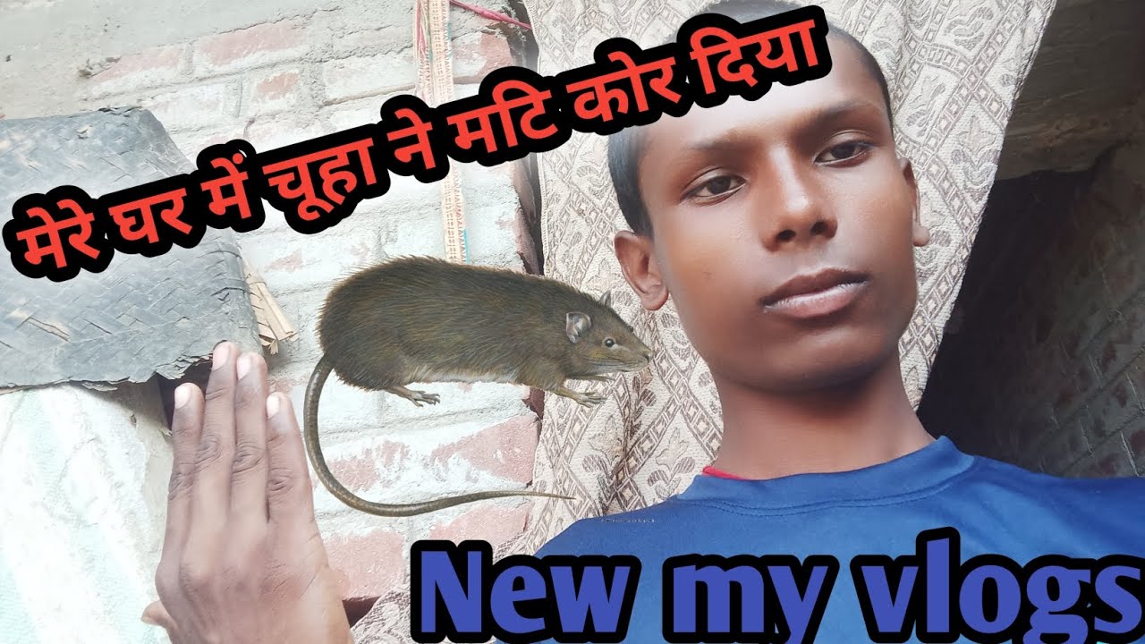 मेरे घर में rat 🐀🐀🐀🐀🐀🐀🐀🐀 ghus gya#minivlog #vlog - YouTube