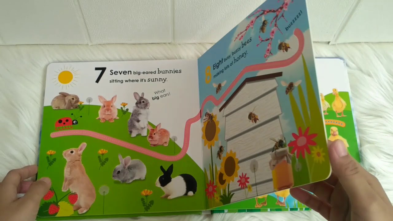 DK Counting with a Ladybird Board Books Follow the trails and learn ...
