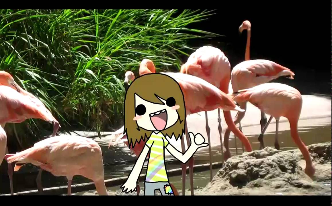 CALL ON MEEEEEEEEEEEEEEEE - YouTube