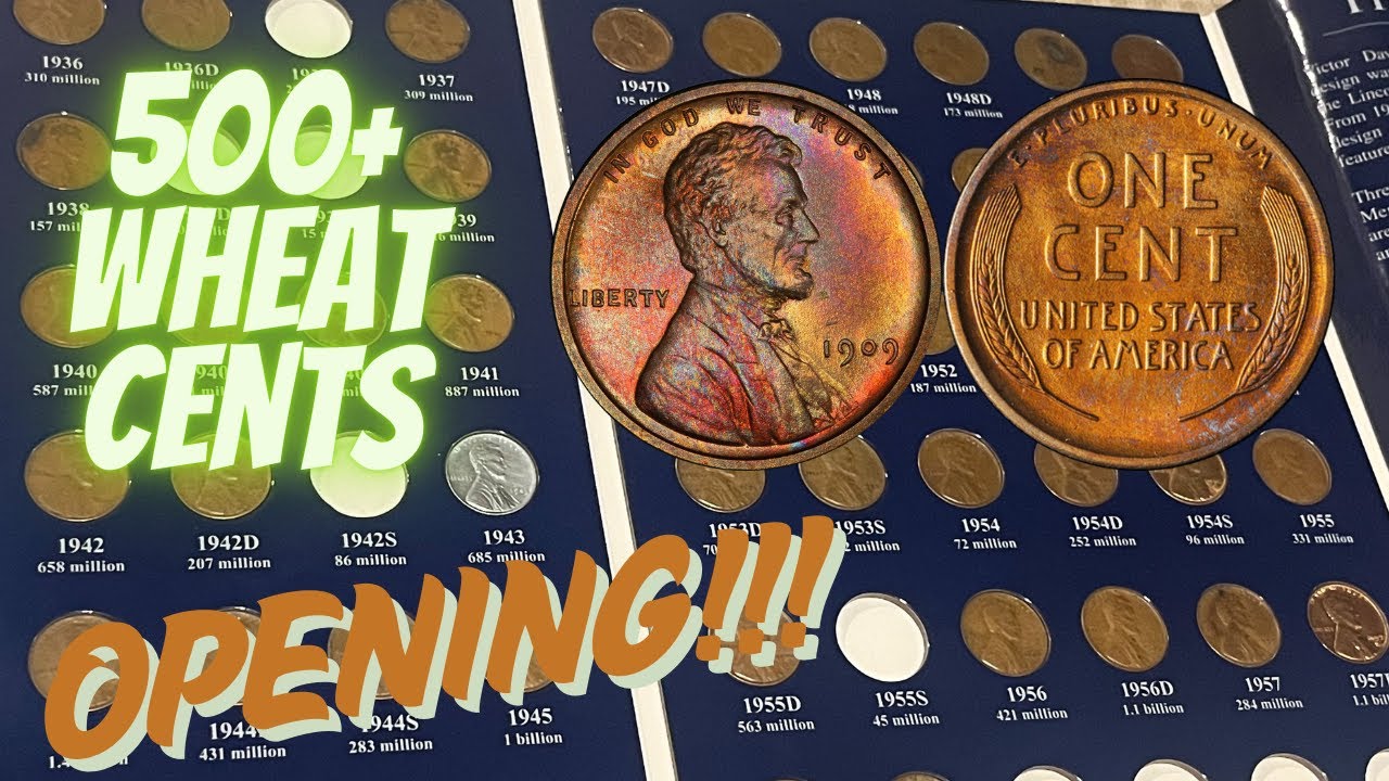 Opening 500+ Wheat Pennies from rolls - YouTube