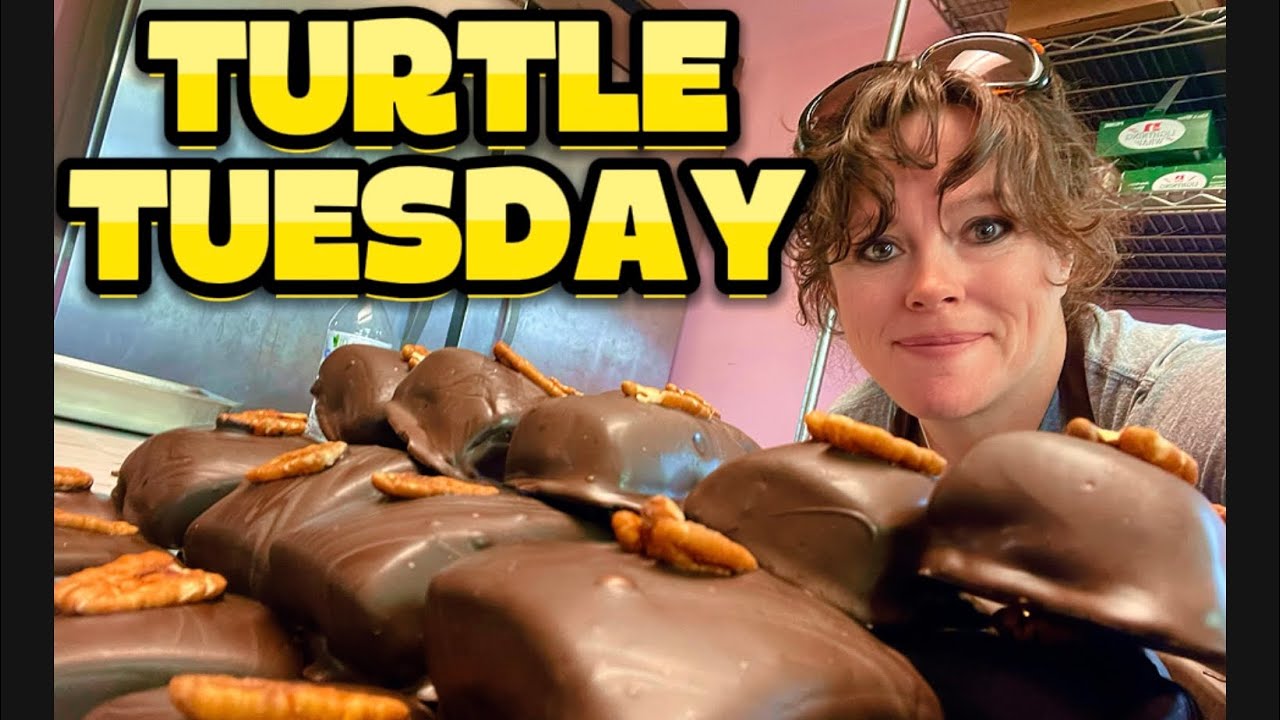 TURTLE TUESDAY - YouTube