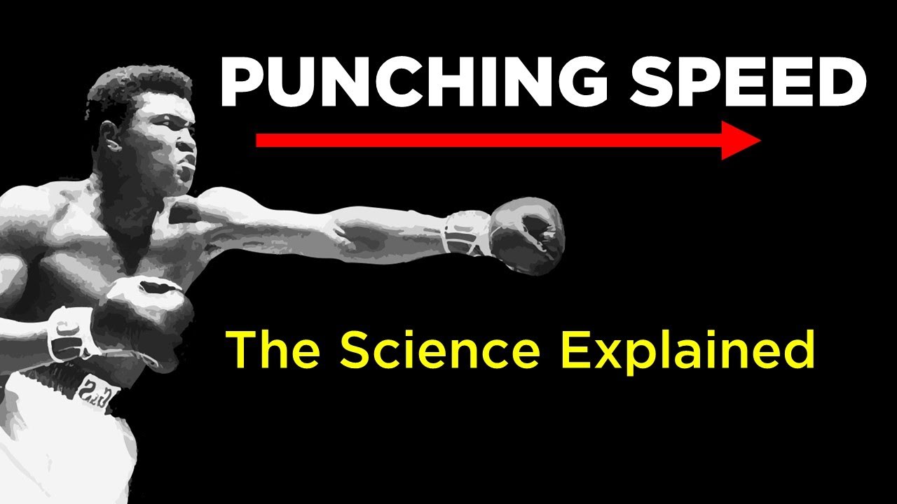 Punching Speed - The Science Explained - YouTube