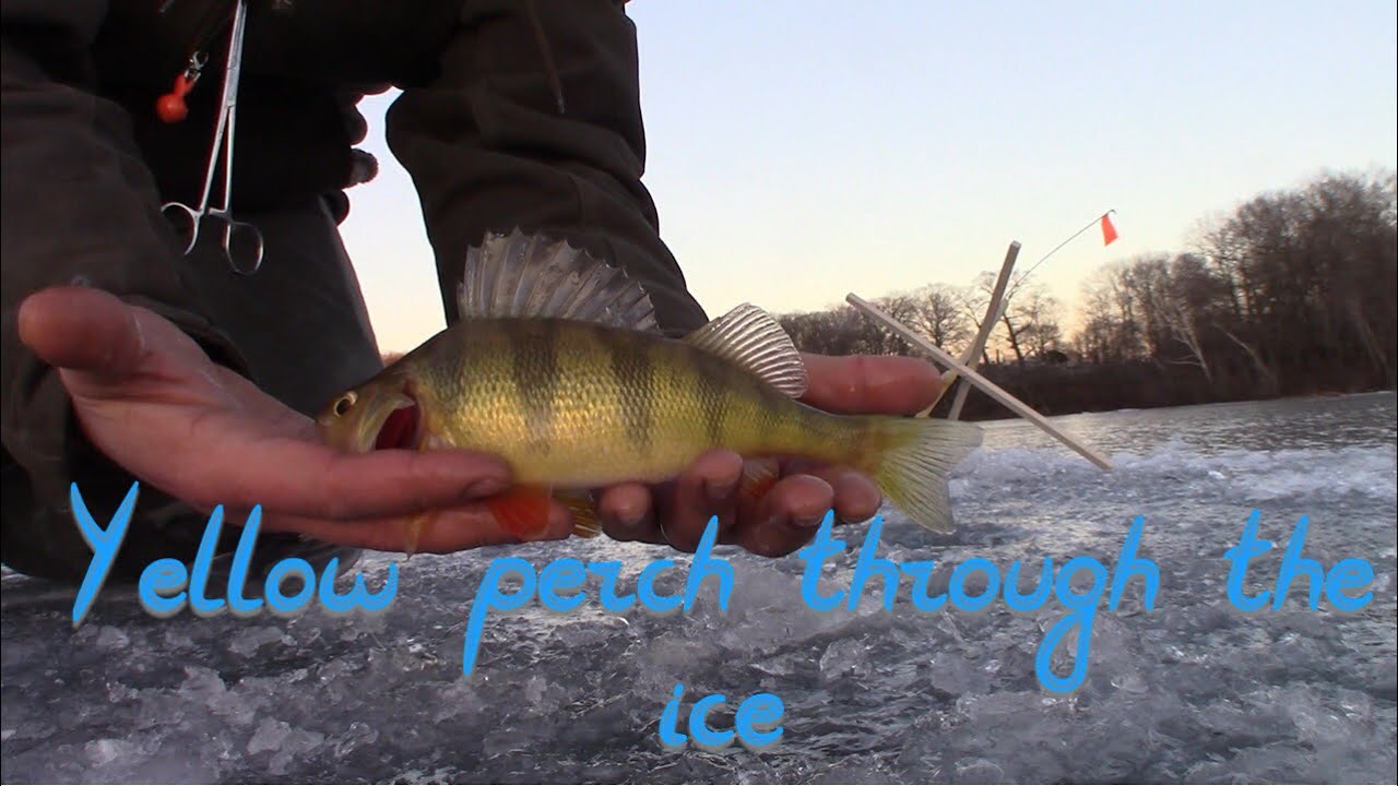 Ice Fishing In A Wind Storm - YouTube